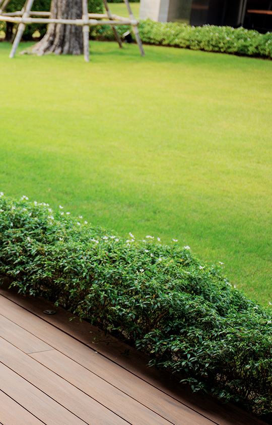 Home Landscape - Pro Turf Landscape Co