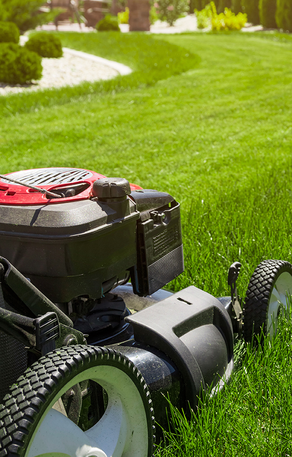 Pro Turf Landscape Co - Home - Professional Lawn Care Services
