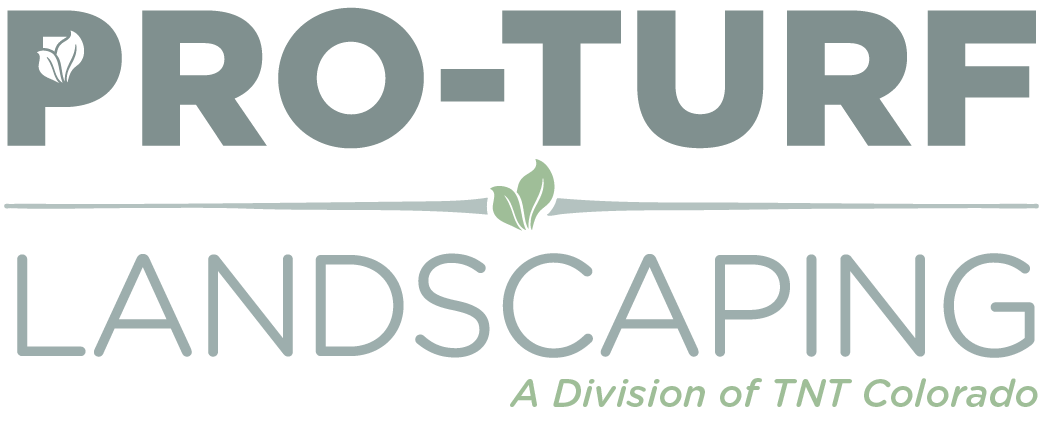 Pro Turf Landscape Co - Contact Us